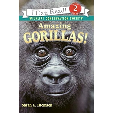 Lazlo Learns Recorder (Paperback) - Walmart.com