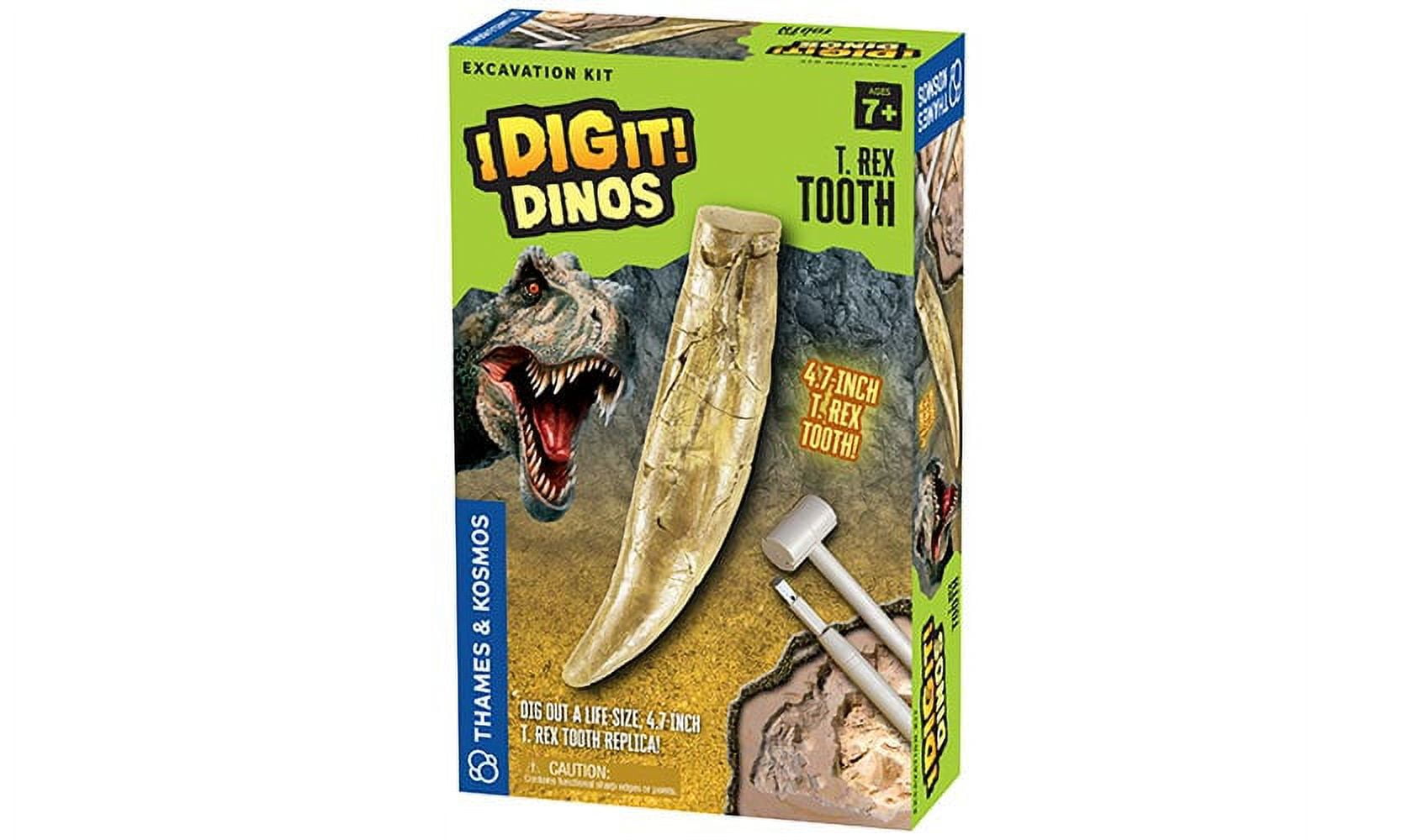 I Dig It! Dinos - T. Rex Tooth Excavation Kit - Walmart.com