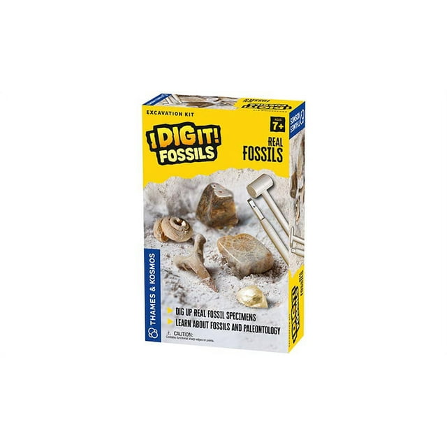 I Dig It! Fossils - Kids Science Rock Toys, Real Fossils Excavation Kit ...