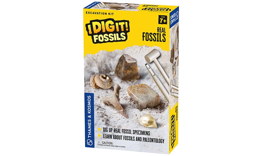 I Dig It! Fossils - Real Fossils Excavation Kit - Walmart.com