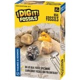 I Dig It! Fossils - Kids Science Rock Toys, Real Fossils Excavation Kit ...