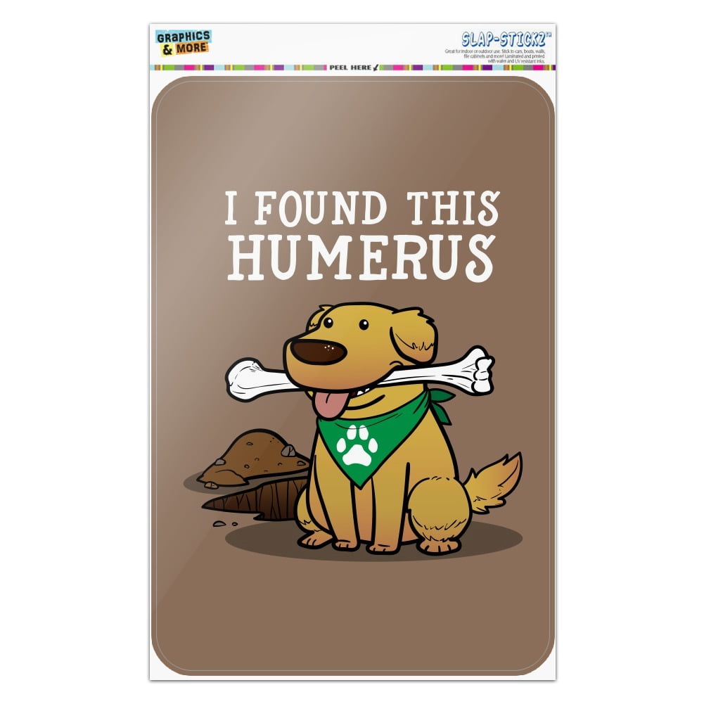 I Found This Humerus Bone Dog Humorous Home Business Office Sign ...