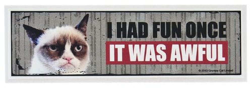 I Had Fun Once, It Was Awful - Grumpy Cat Desk Sign by Ganz - Walmart.com