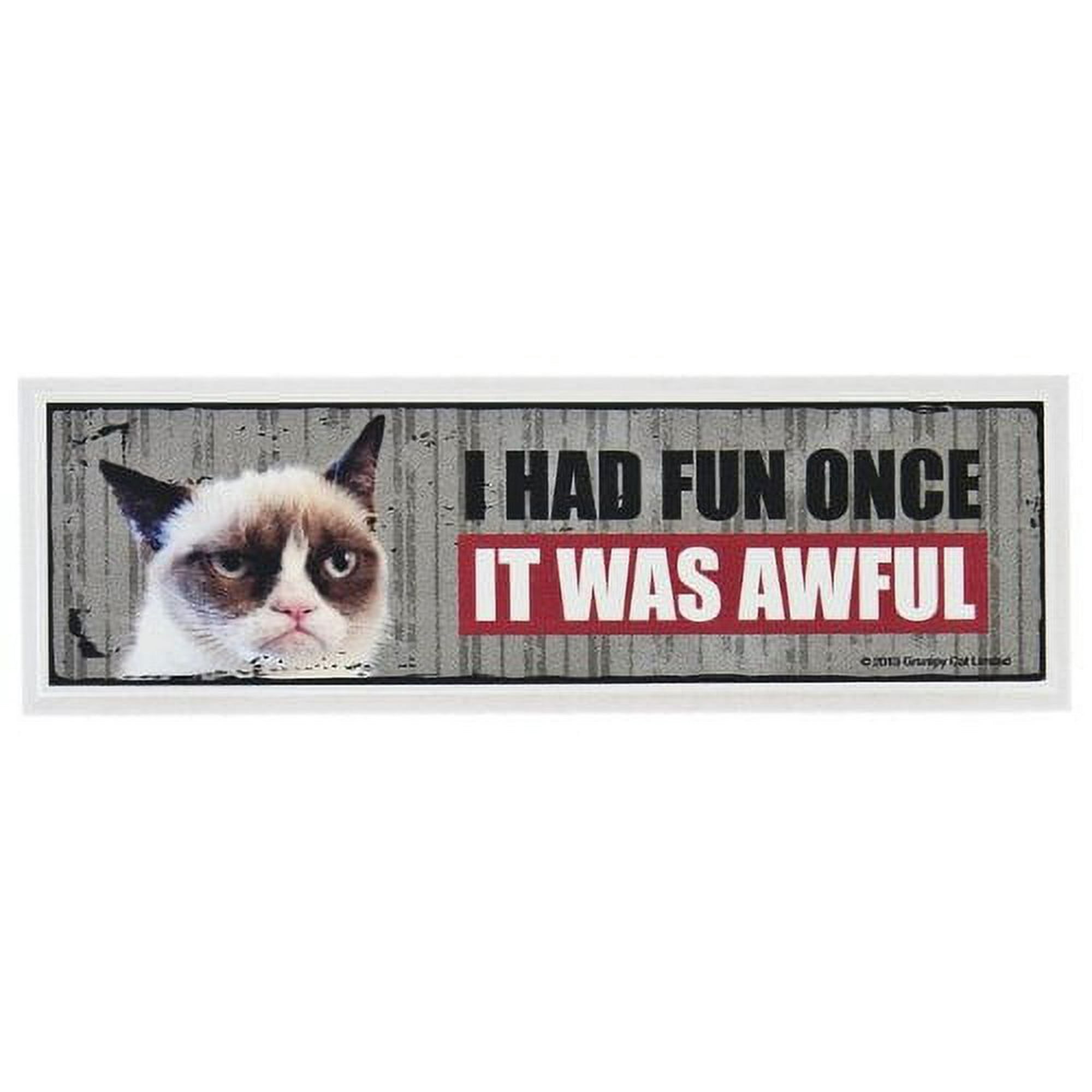 I Had Fun Once It Was Awful Grumpy Cat