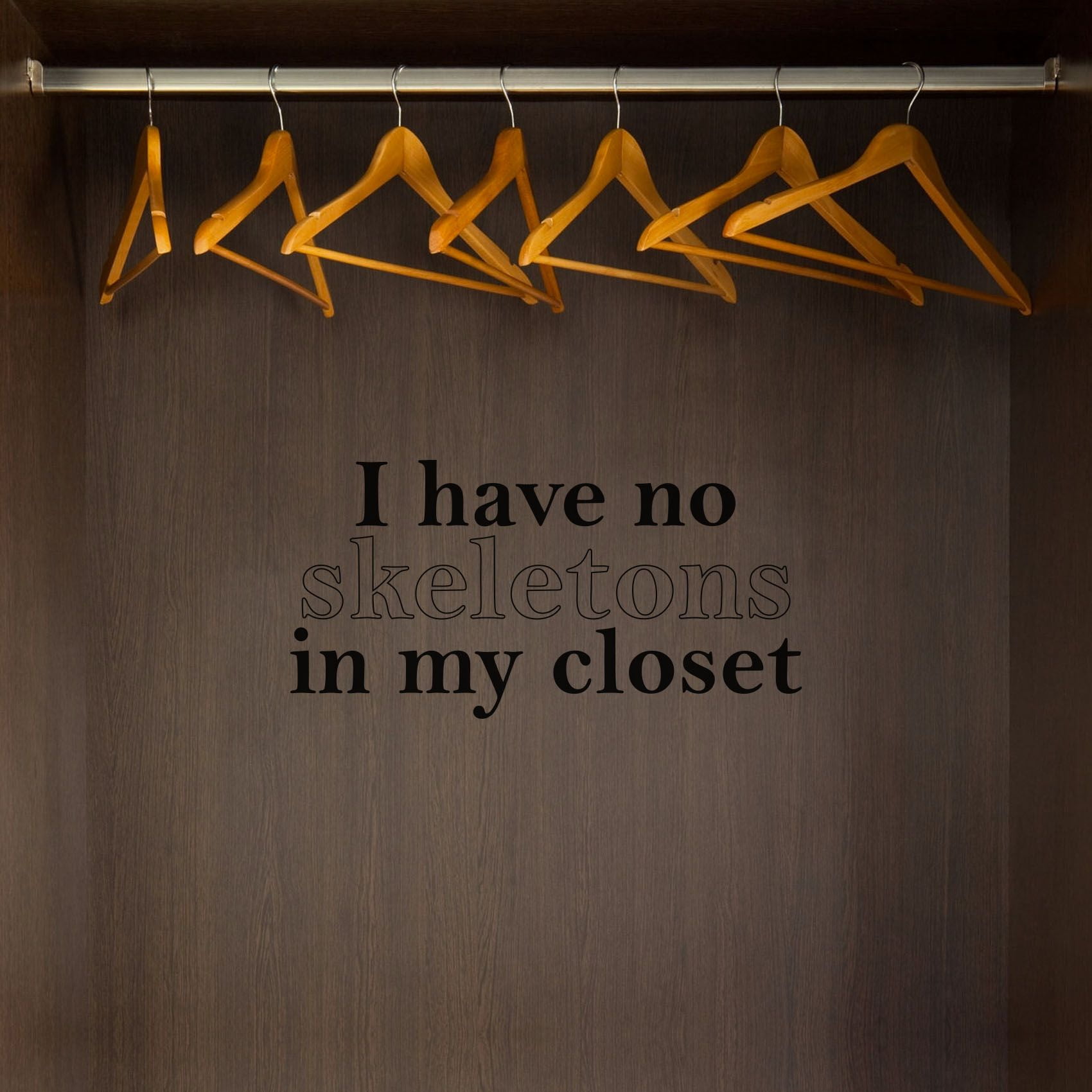 I Have No Skeletons In My Clloset - Closet Quotes Label Signage Storage ...