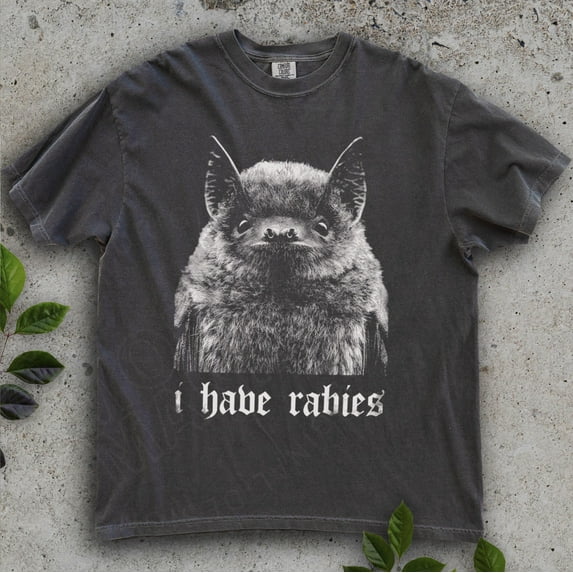 I Have Rabies Bat Shirt T-shirt, Grunge Y2k Vintage, Unhinged Meme ...