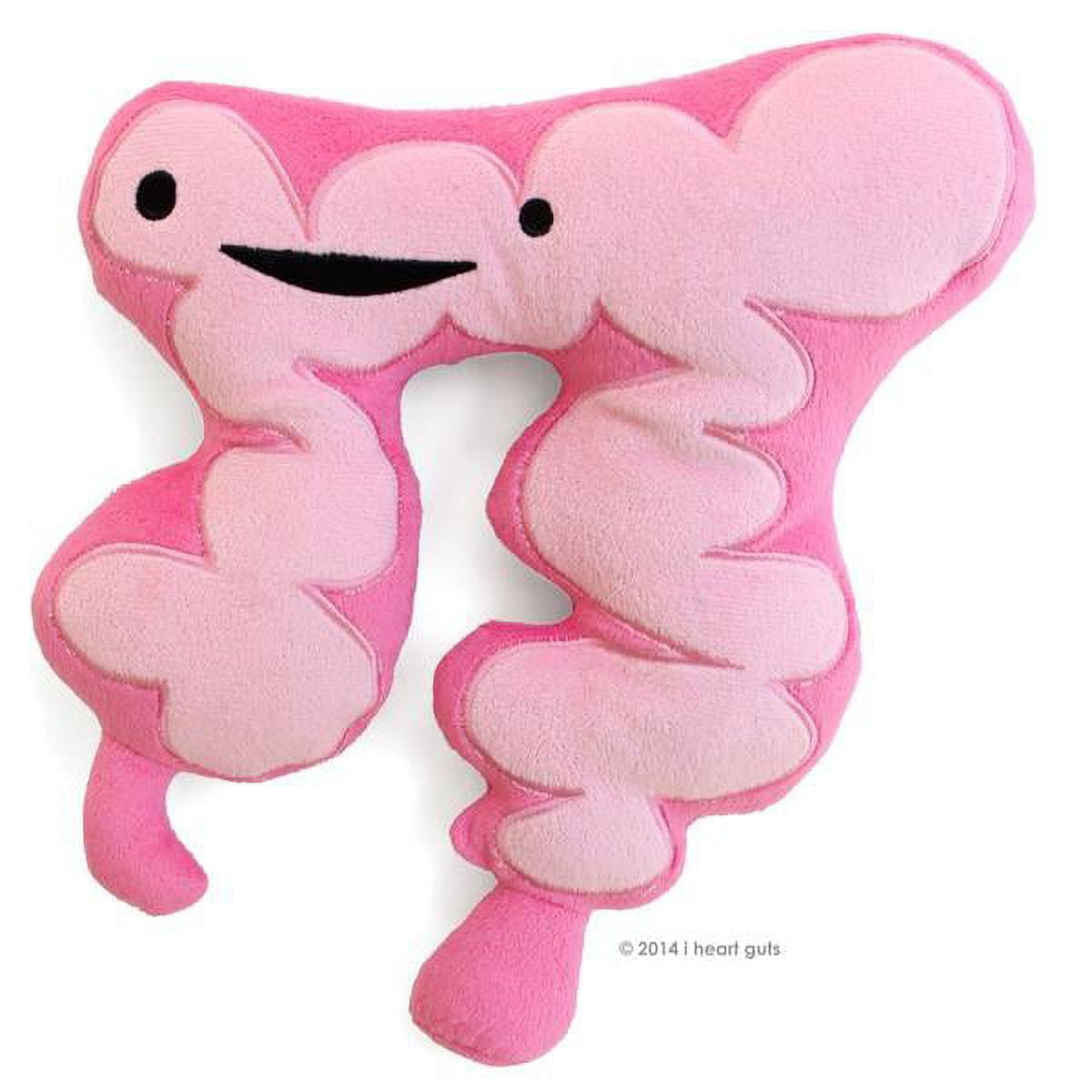 I Heart Guts 8” Colon Plush Toy Pink Get Well Soon Stuffed Organ ...