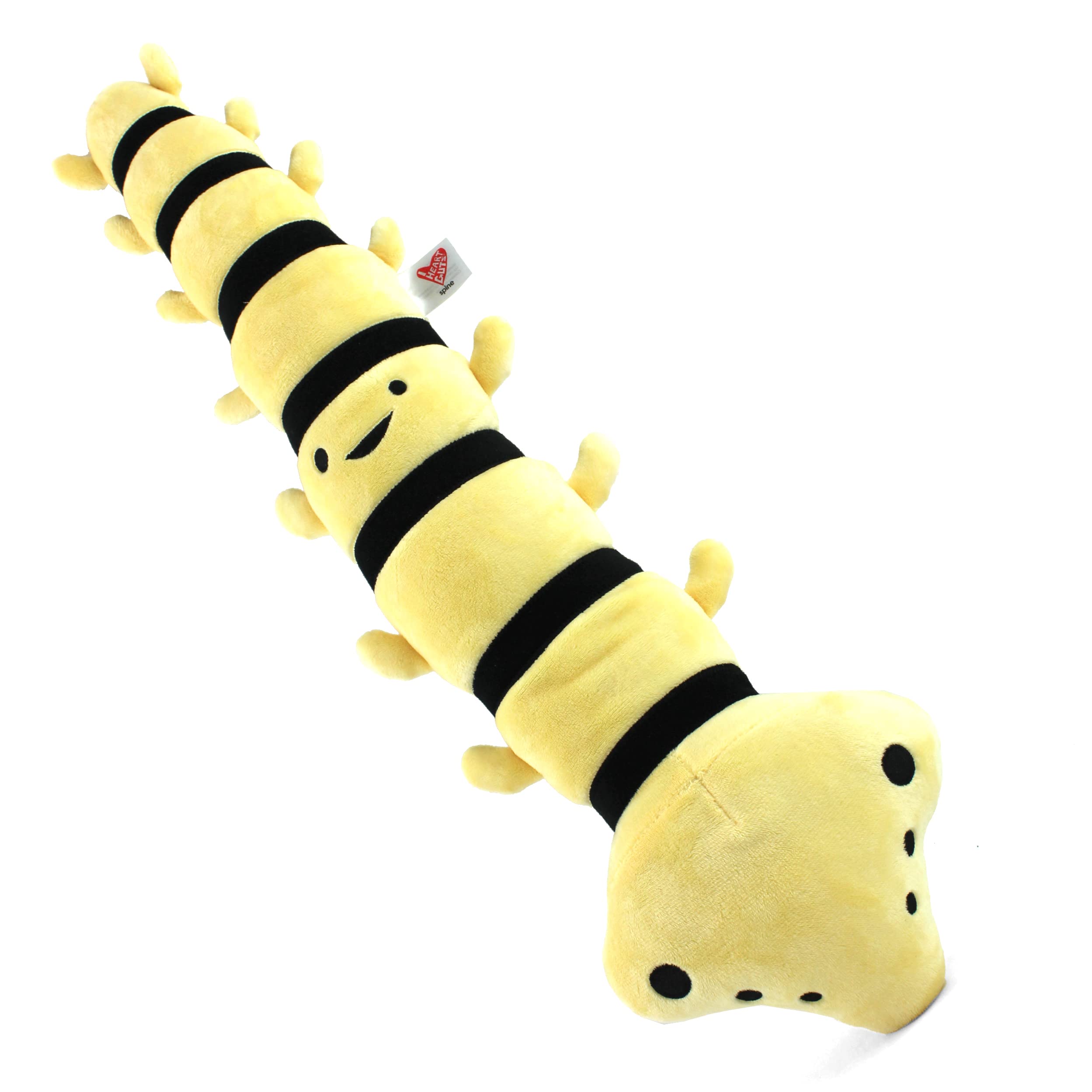I Heart Guts Spine Plush - Got Your Back - Flexible Backbone Vertebrae ...