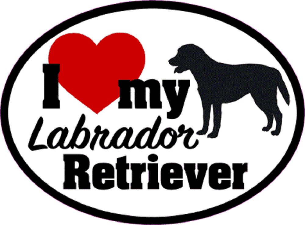 I LOVE MY LABRADOR RETRIEVER Sticker - Orignal Artwork Vinyl - Dog ...