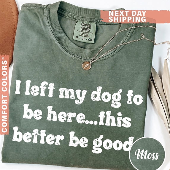 I Left My Dog To Be Here This Better Be Good Funny Comfort Colro Tee ...
