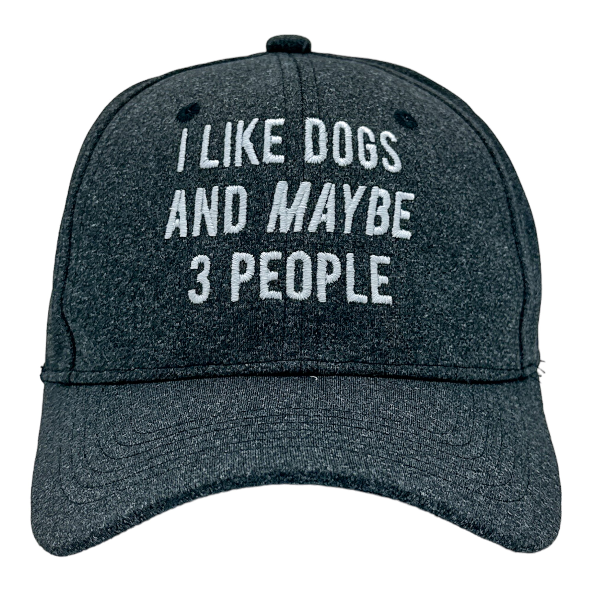 I Like Dogs and Maybe 3 People Hat Funny Anti Social Pet Puppy Animal ...