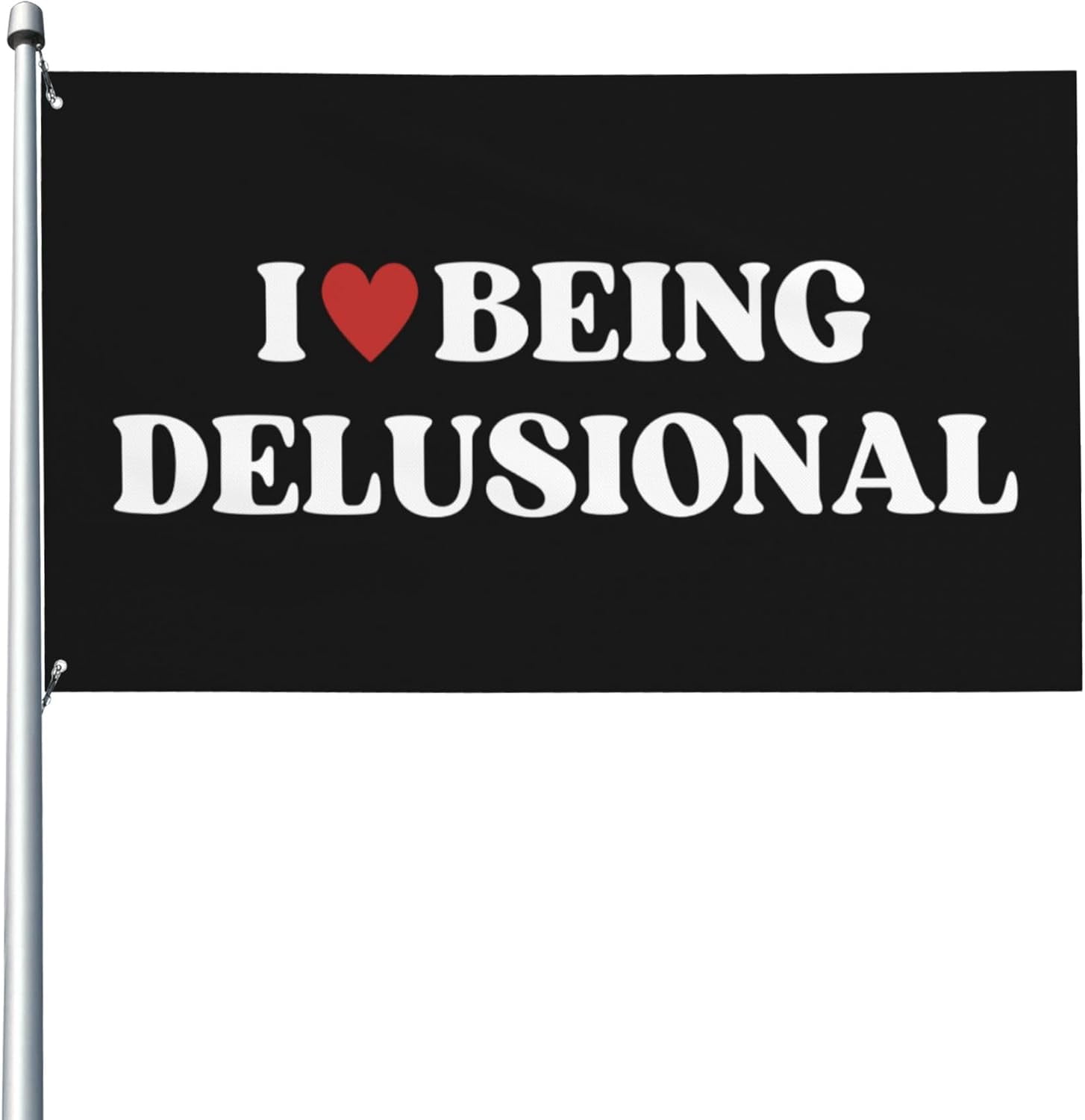 I Love Being Delusional Flag 3x5 Ft Outdoor Decorative Banner Outside ...