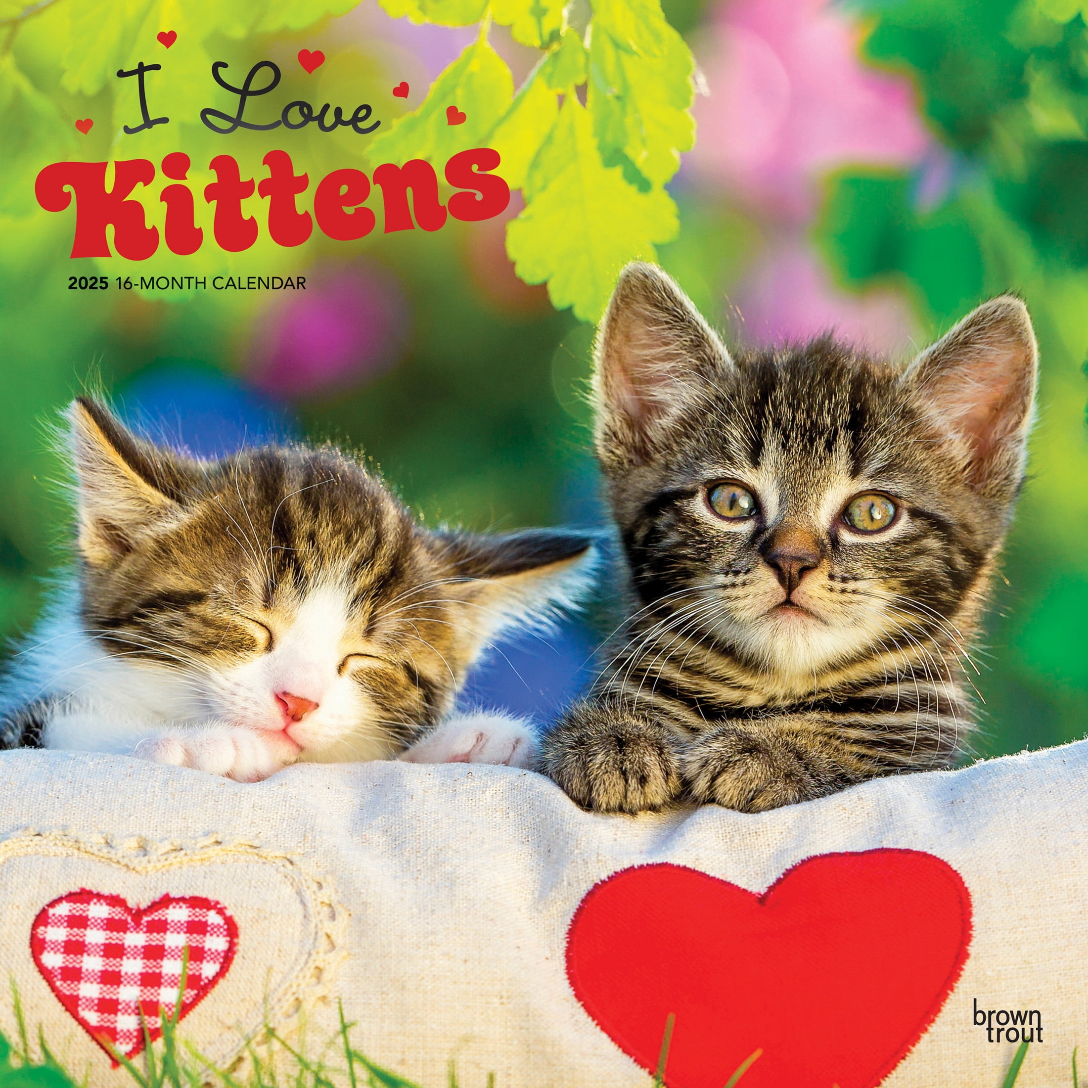 I Love Kittens | 2025 12x24" (Hanging) Square Wall Calendar ...