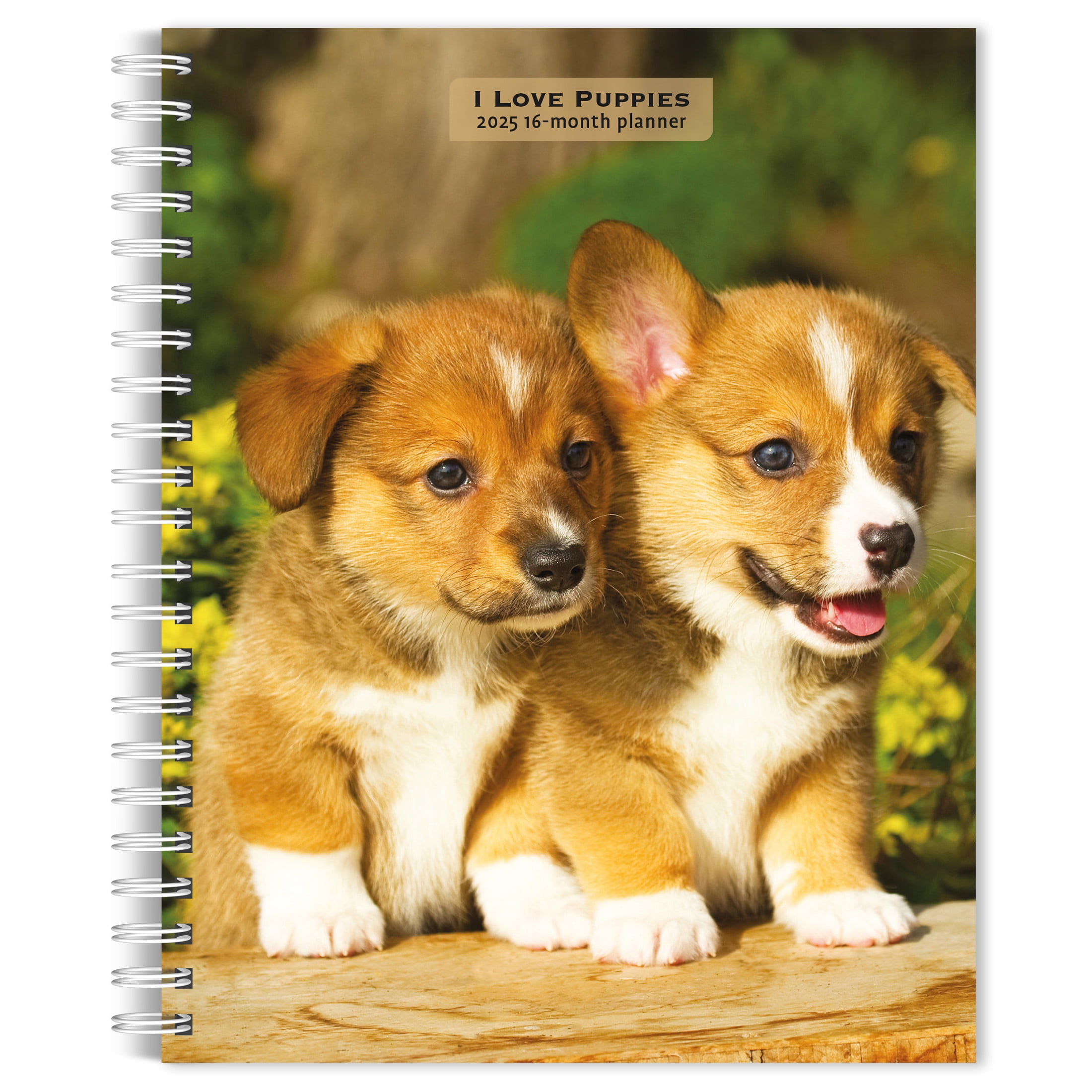 I Love Puppies | 2025 6x7.75" Engagement Planner Calendar | BrownTrout ...