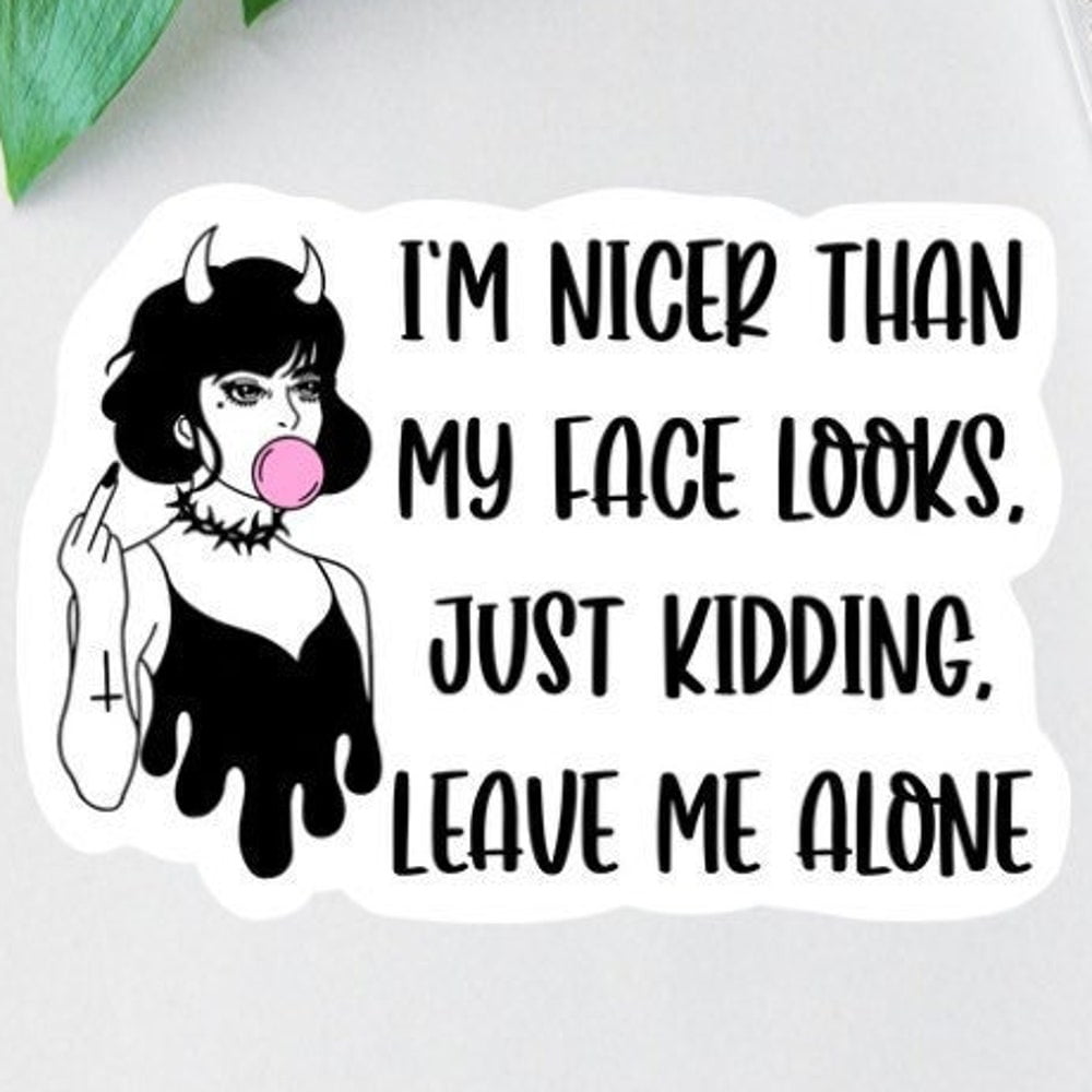 I'M Nicer Than My Face Looks Sticker, Punk Girl Sticker Phone Decal ...