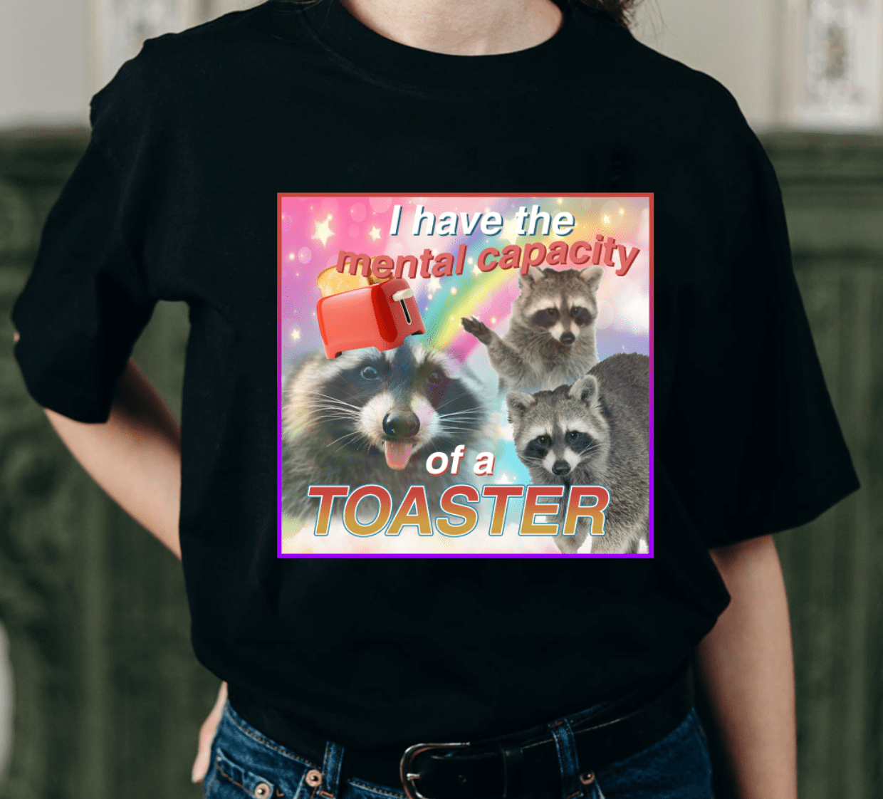 I Put FUN in DYSFUNCTIONAL Meme Shirt -Raccoon Tanuki,Opossums Lover Shirt,Possums Shirt,Sad ...
