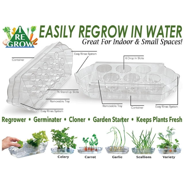 I Re Grow - Walmart.com