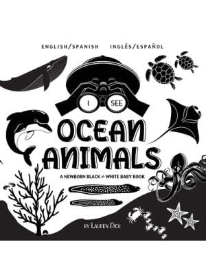 Ocean Seal Spanish