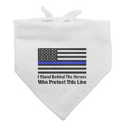 Protect America