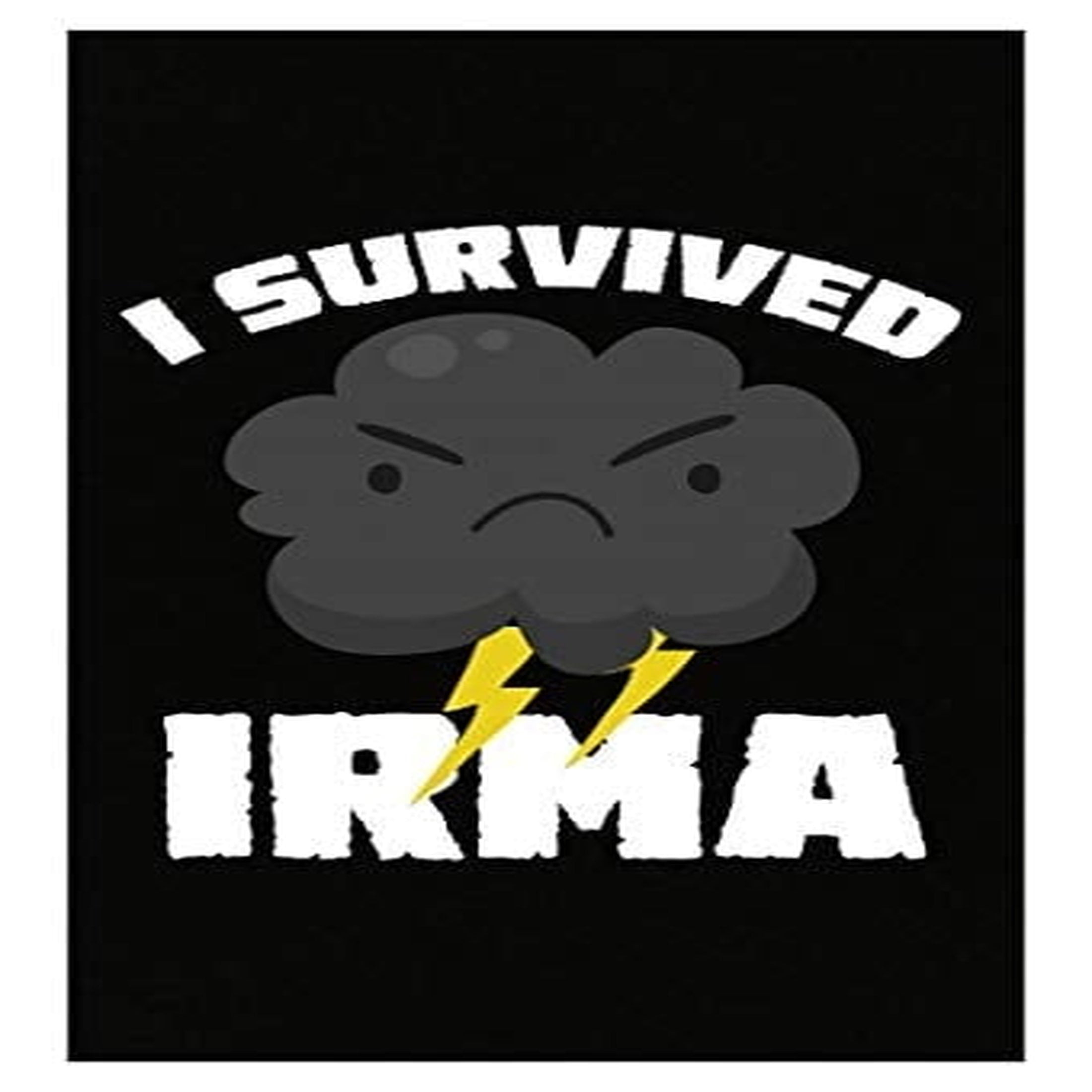 I Survived Irma Poster - Funny Florida Windy Weather Humor 13x19" Wall ...