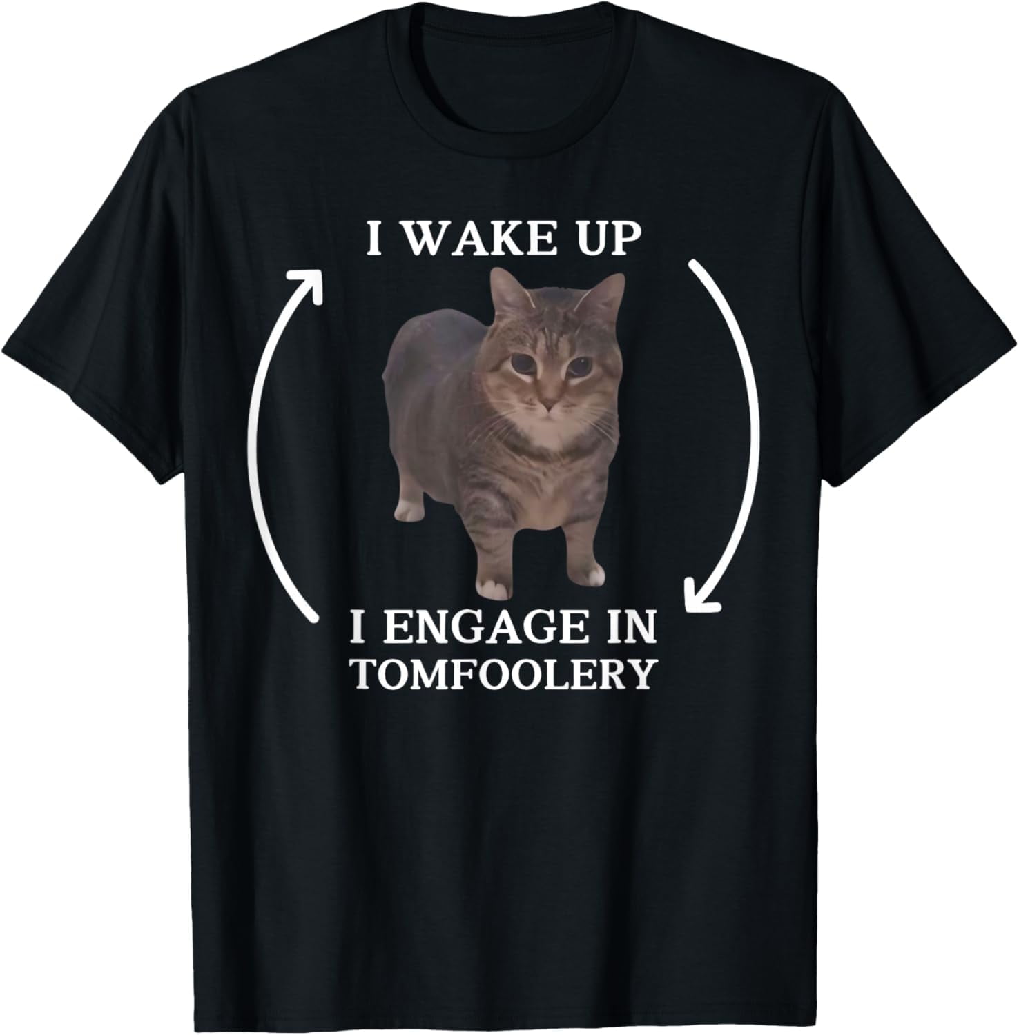 I Wake Up I Engage In Tomfoolery Meme Funny Memes Cat Meme T-Shirt ...