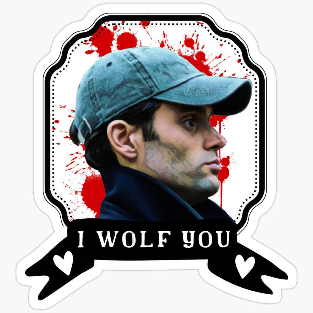 I Wolf You And Then I Met You Glass Box Joe Goldberg Netflix You Series ...