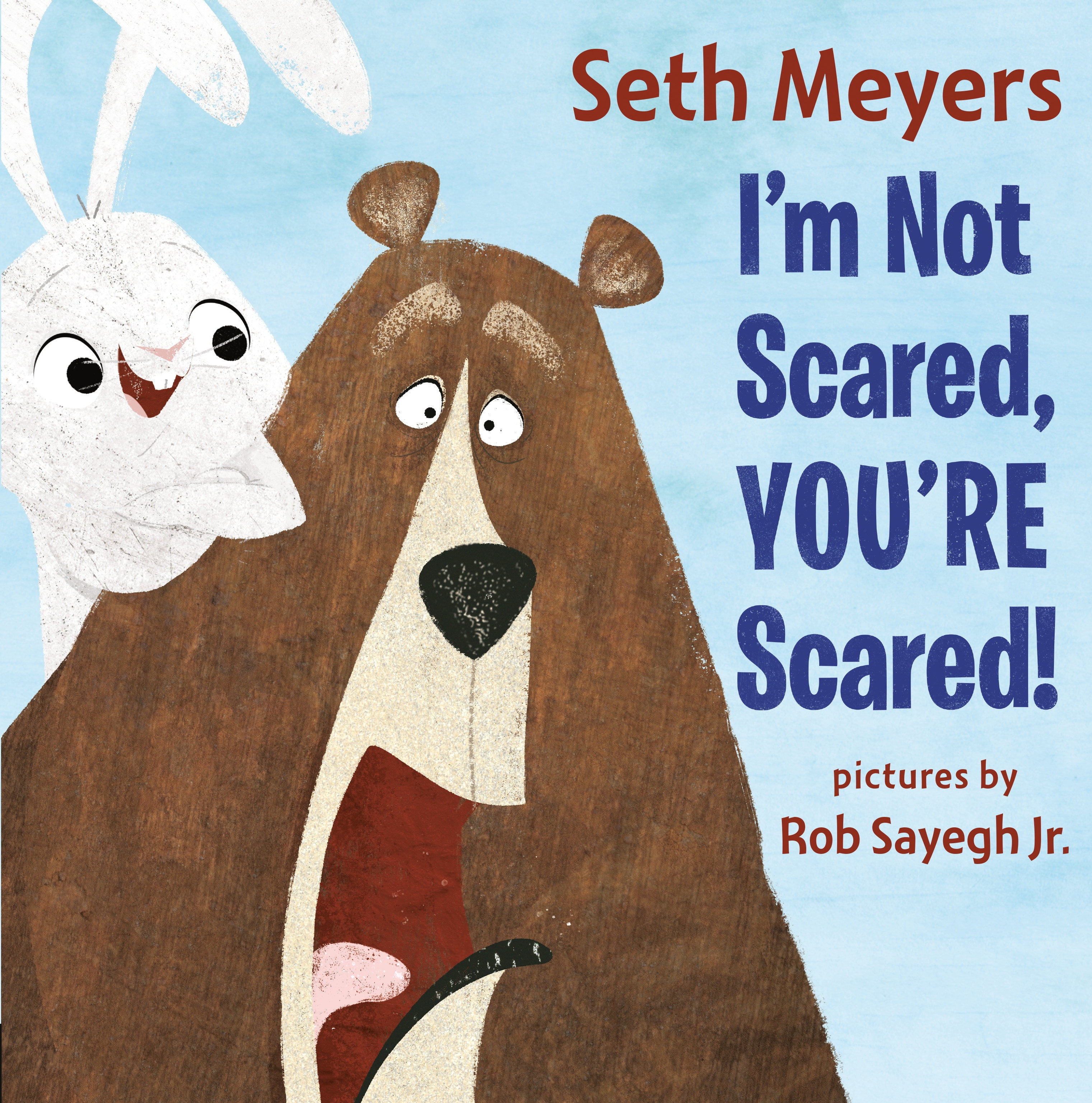 I'm Not Scared, You're Scared (Hardcover) - Walmart.com