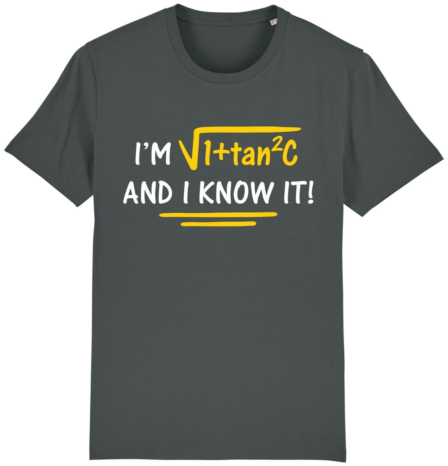 I'm sec c and i know it t-shirt funny maths formula joke pun nerd geek ...