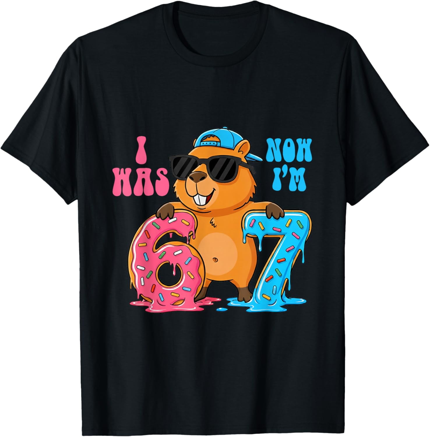 I was Six Now I'm Seven 6 7 Capybara 67 Meme 7th Birthday T-Shirt ...