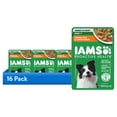 (16 pack) IAMS Proactive Health Core Pouch - Chicken - Walmart.com