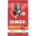 IAMS Proactive Health Adult Minichunks Lamb & Rice Recipe Dry Dog Food ...