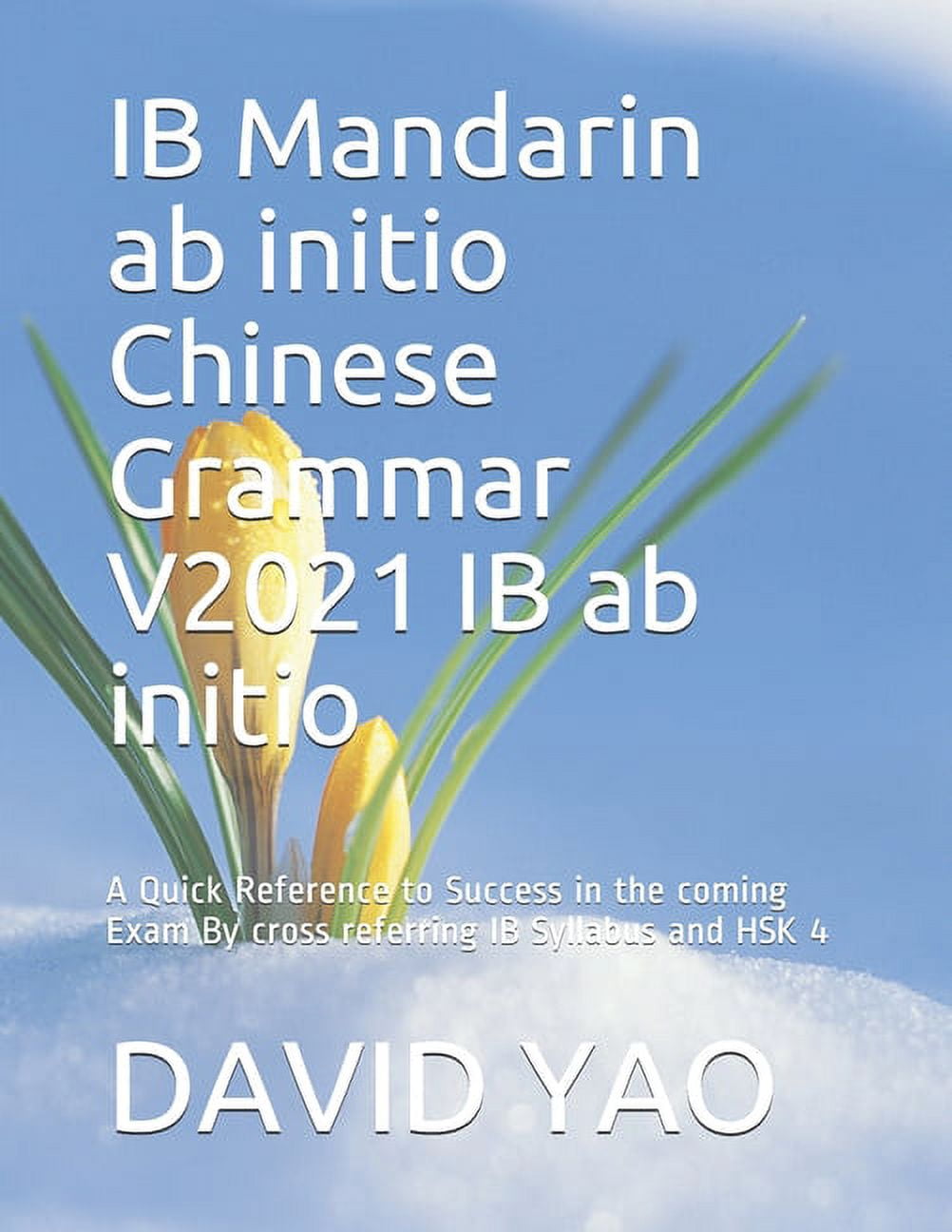 IB Mandarin ab initio Chinese Grammar V2021 IB ab initio 中文语法: A Quick ...