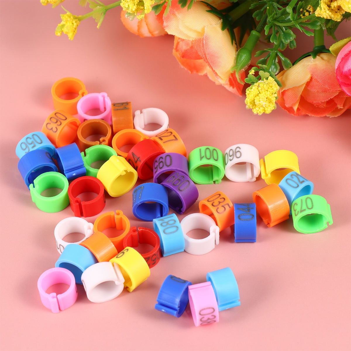 IBASETOY 100PCS Numbered Plastic Pigeon Leg Bands Assorted Color for ...