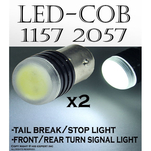 1157 Light Bulbs