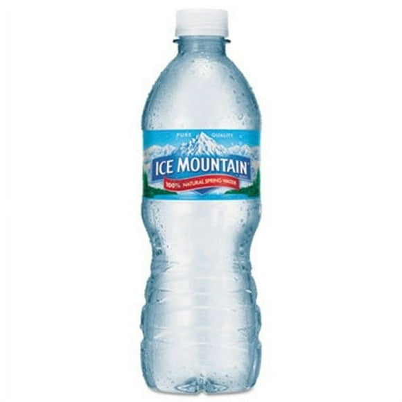 Ice Mountain in Spring Water - Walmart.com