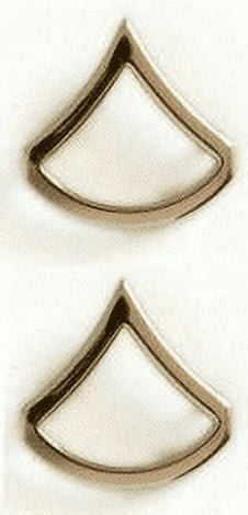 ICERUN US Army PFC Gold Collar Rank Insignia - Walmart.com