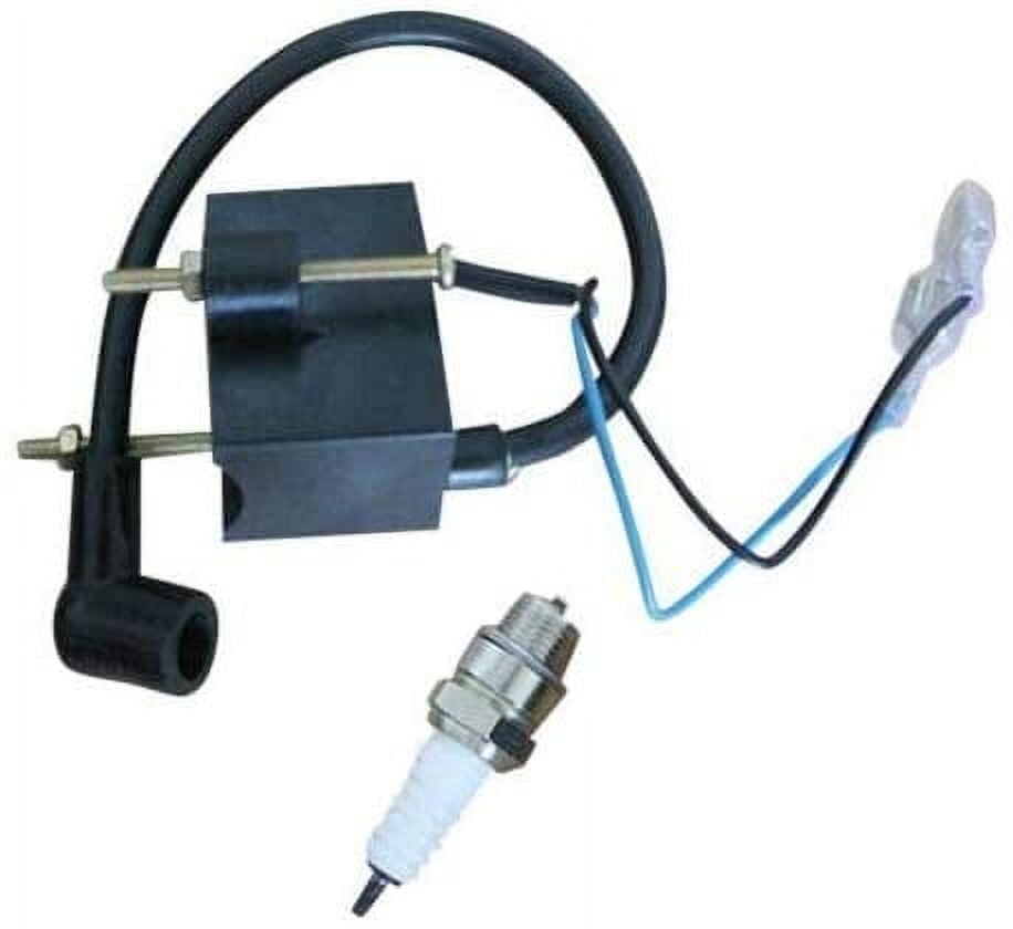 ICHTHYOSAUR 1pcs CDI Spark Plug 49cc 60cc 66cc 80cc Engine Motorized ...