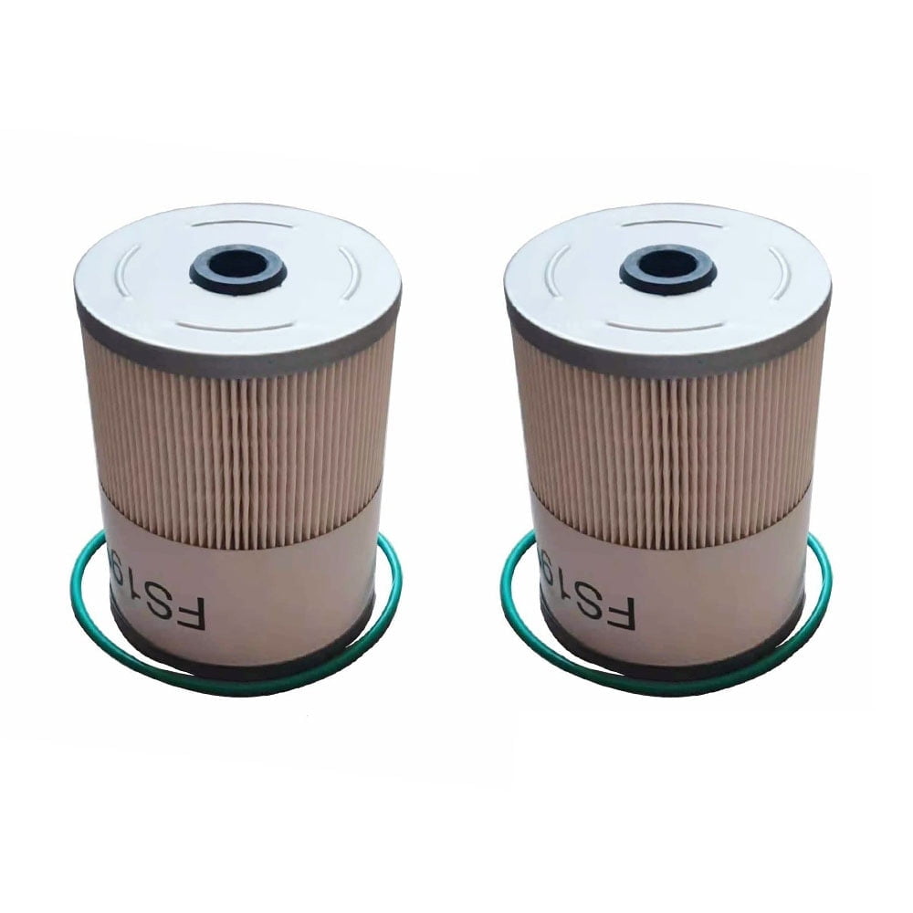 ICHTHYOSAUR 2Pcs FS19915 Fuel Filter Replacement for Auto General Fuel ...