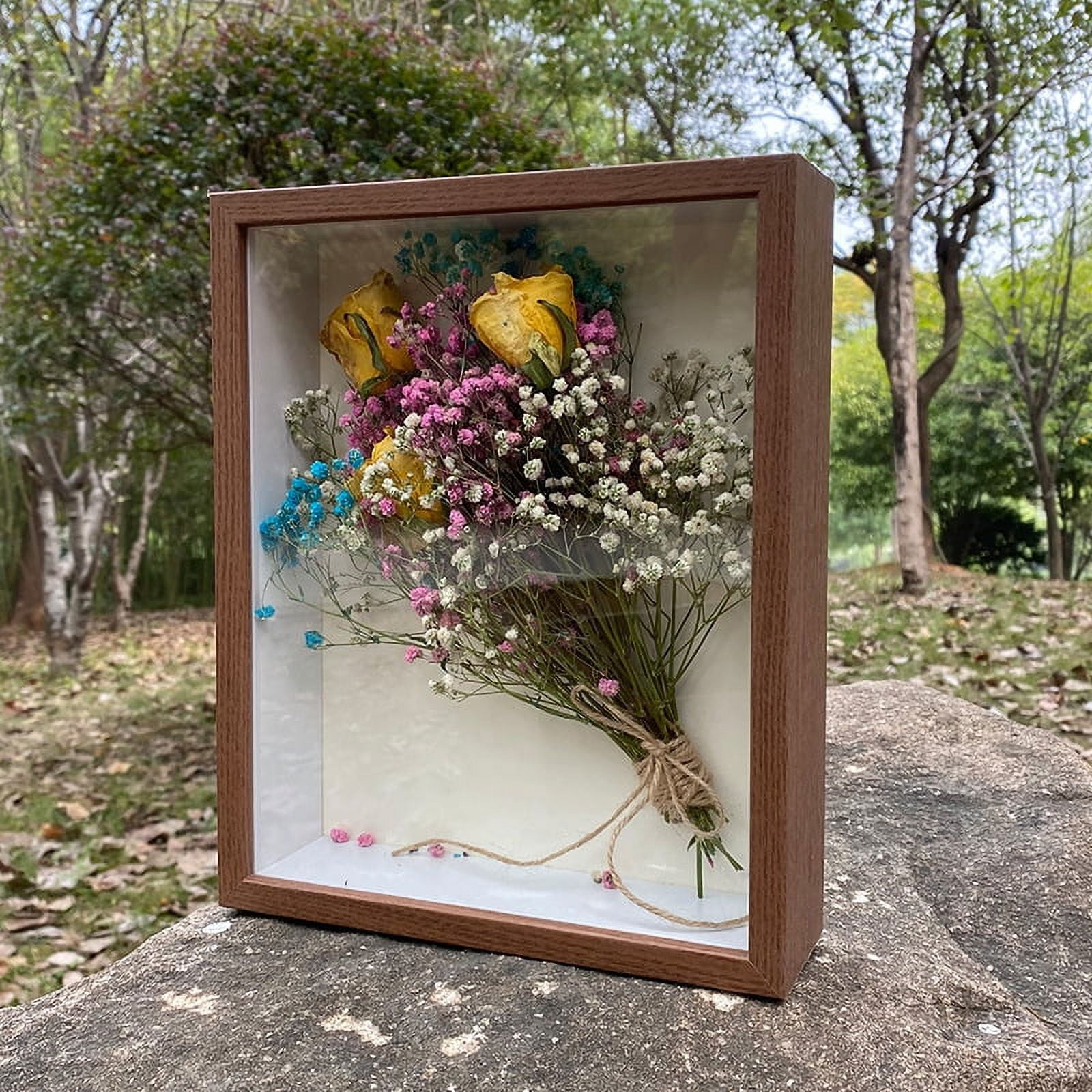 Wooden Natural Dried Flower Display Stand & Photo Frame, Dry Flower Shadow Box Specimen Case ...