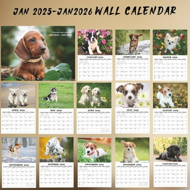 Bentne Fun Dogs Wall Calendar 2025 Large Family Planner & Daily ...