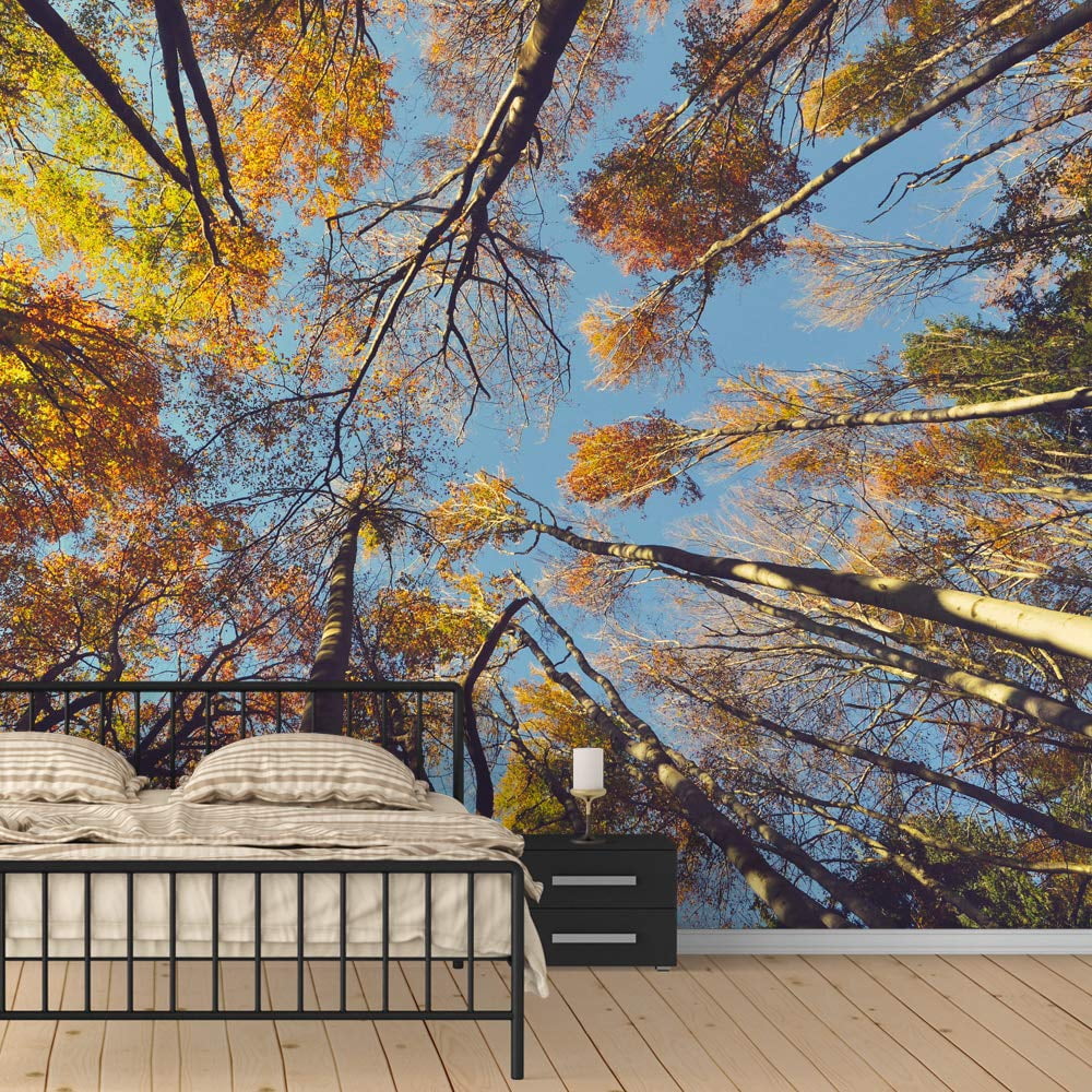 IDEA4WALL 4pcs My Dreamwork Peel and Stick Wallpaper Removable Wall ...