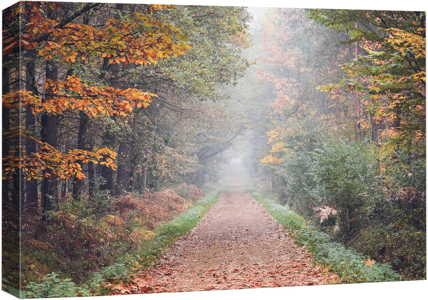 IDEA4WALL Adhesive Canvas Print Wall Art Set of 3 Autumn Forest Path ...