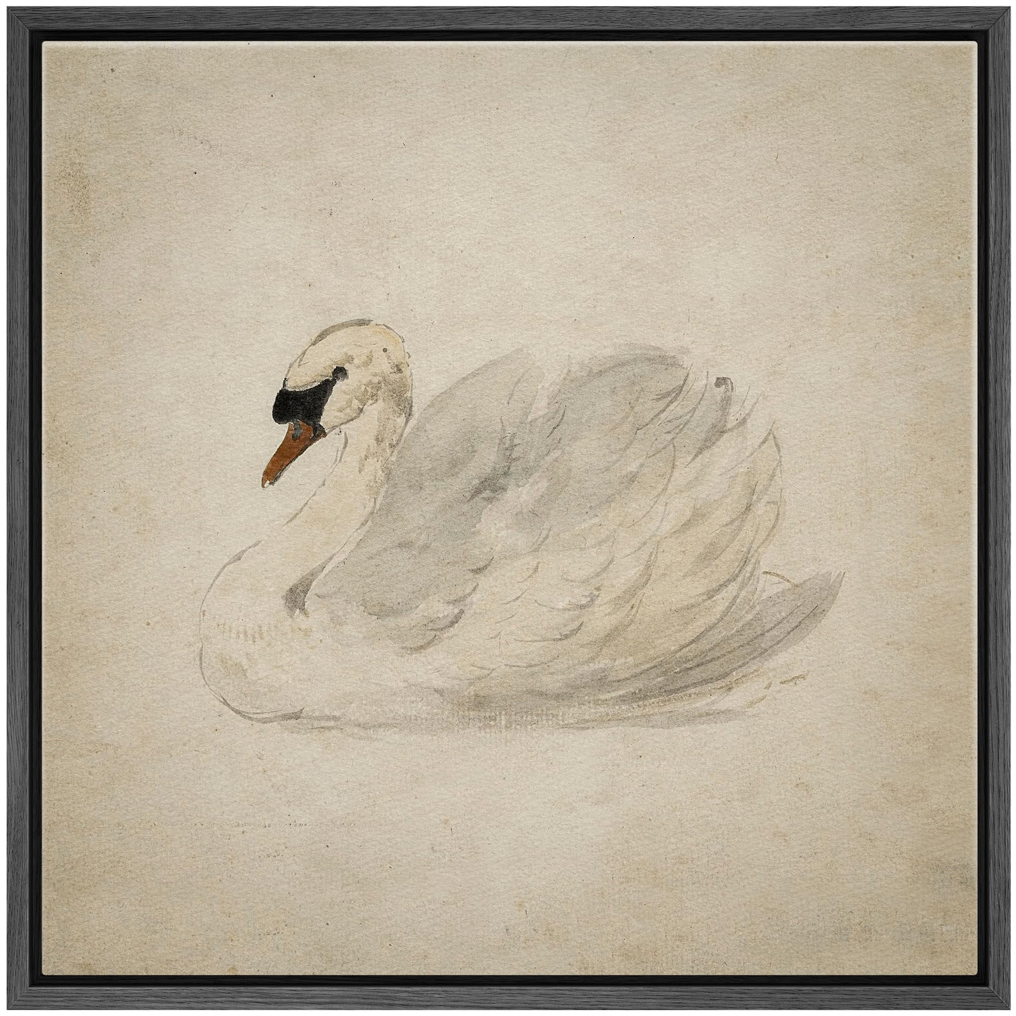 IDEA4WALL Framed Canvas Print Wall Art Elegant Swan Sketch Artwork ...