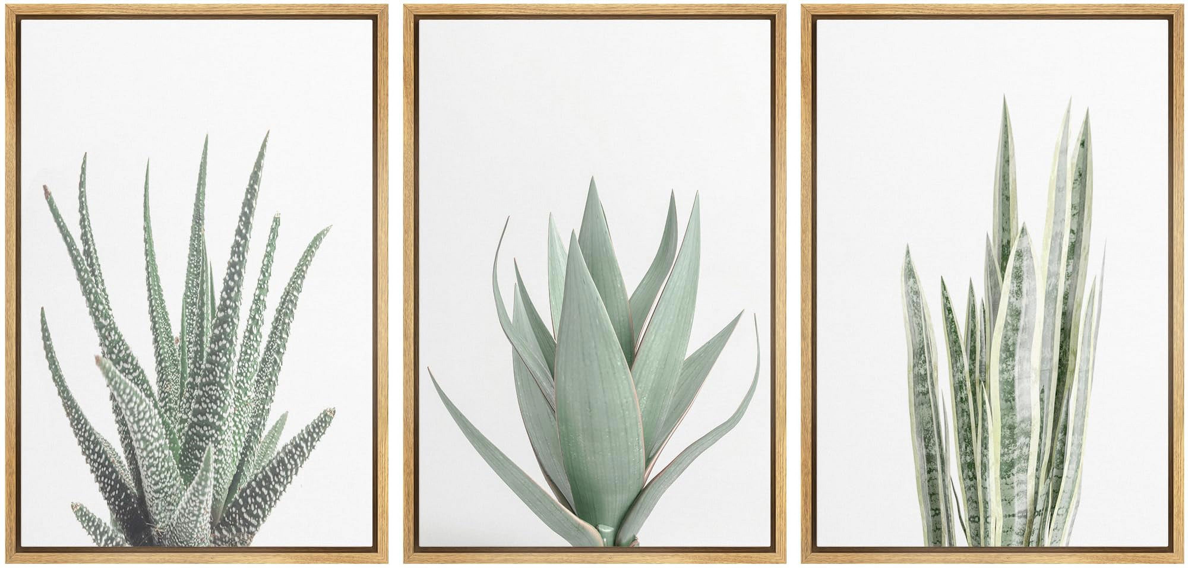 IDEA4WALL Framed Canvas Print Wall Art Set of 3 Green Succulent Plant ...