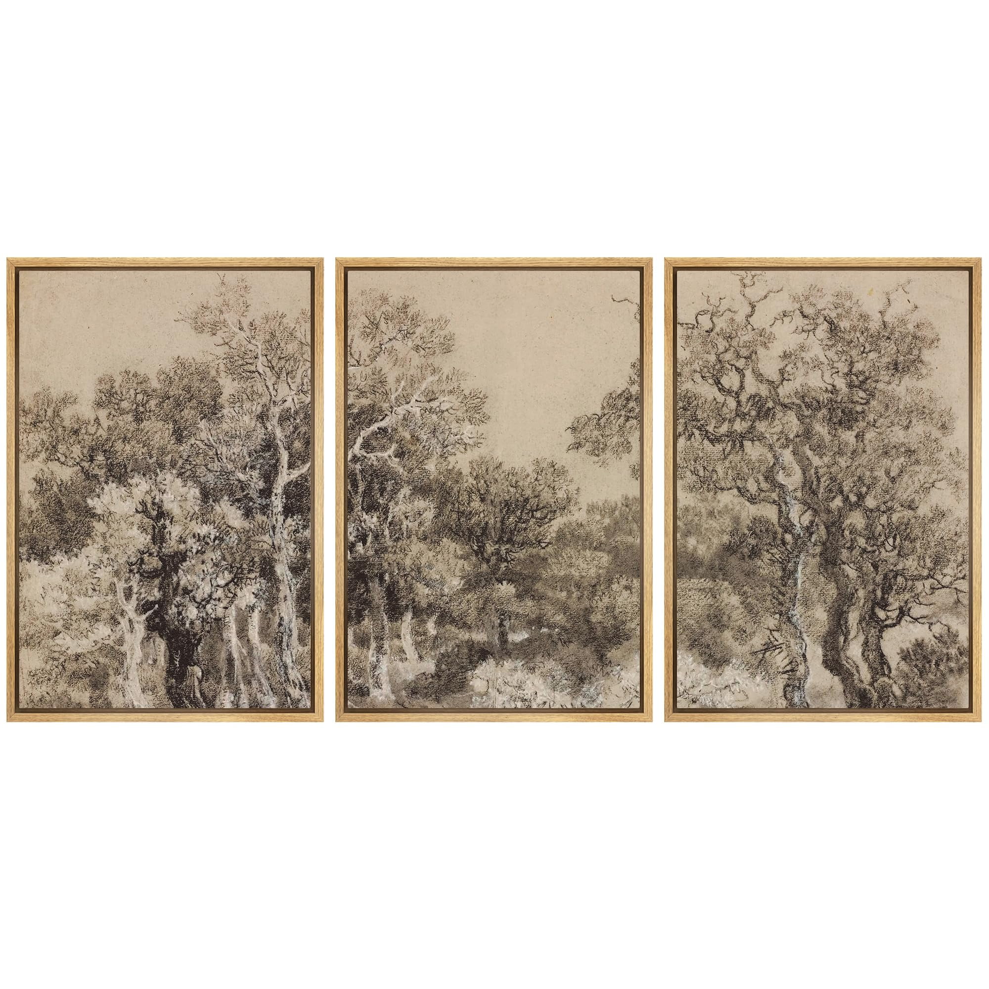 IDEA4WALL Framed Canvas Print Wall Art Set of 3 Vintage Aged Tree ...