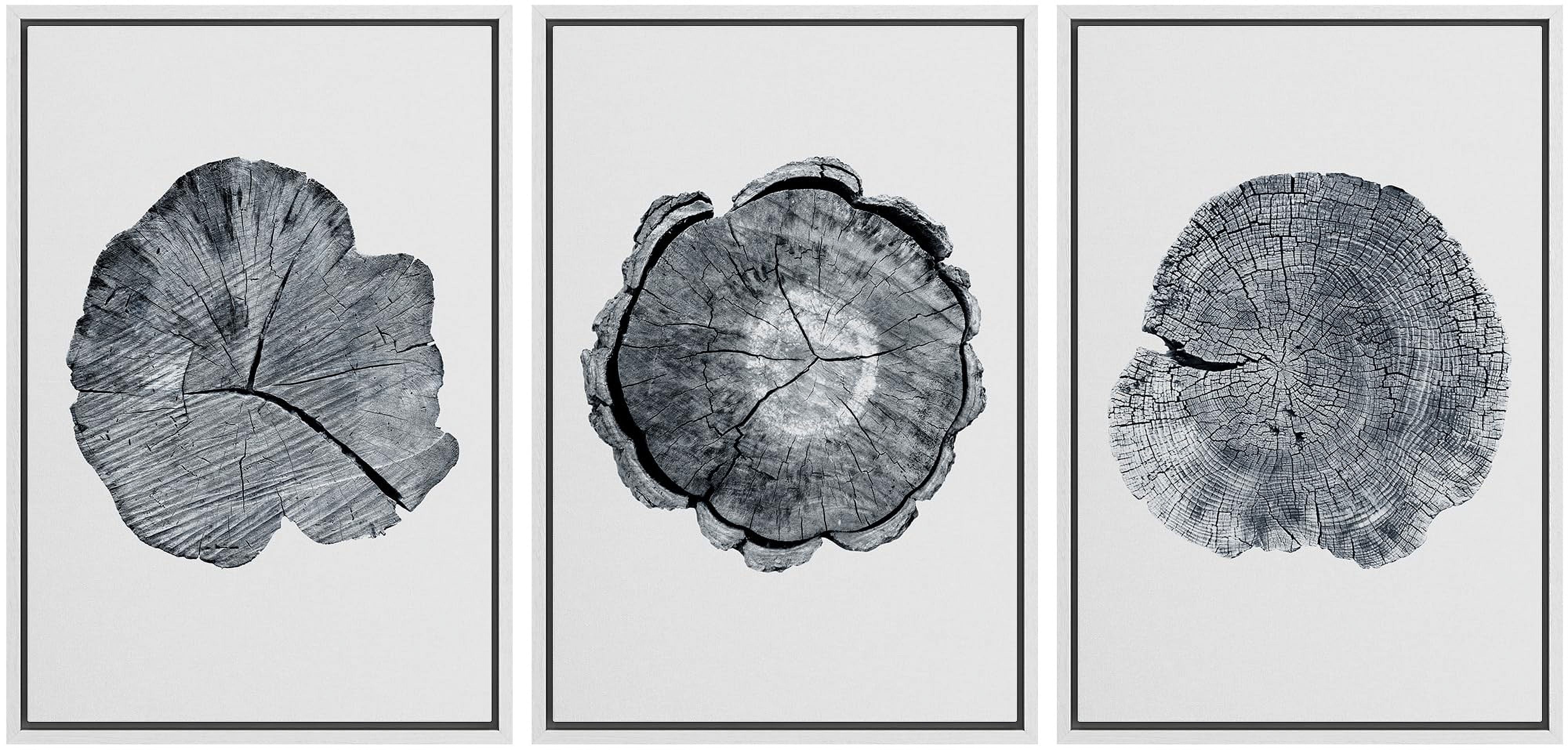 IDEA4WALL Framed Canvas Print Wall Art Set of 3 Wood Tree Rings Prints, Vintage Farmhouse Wall ...