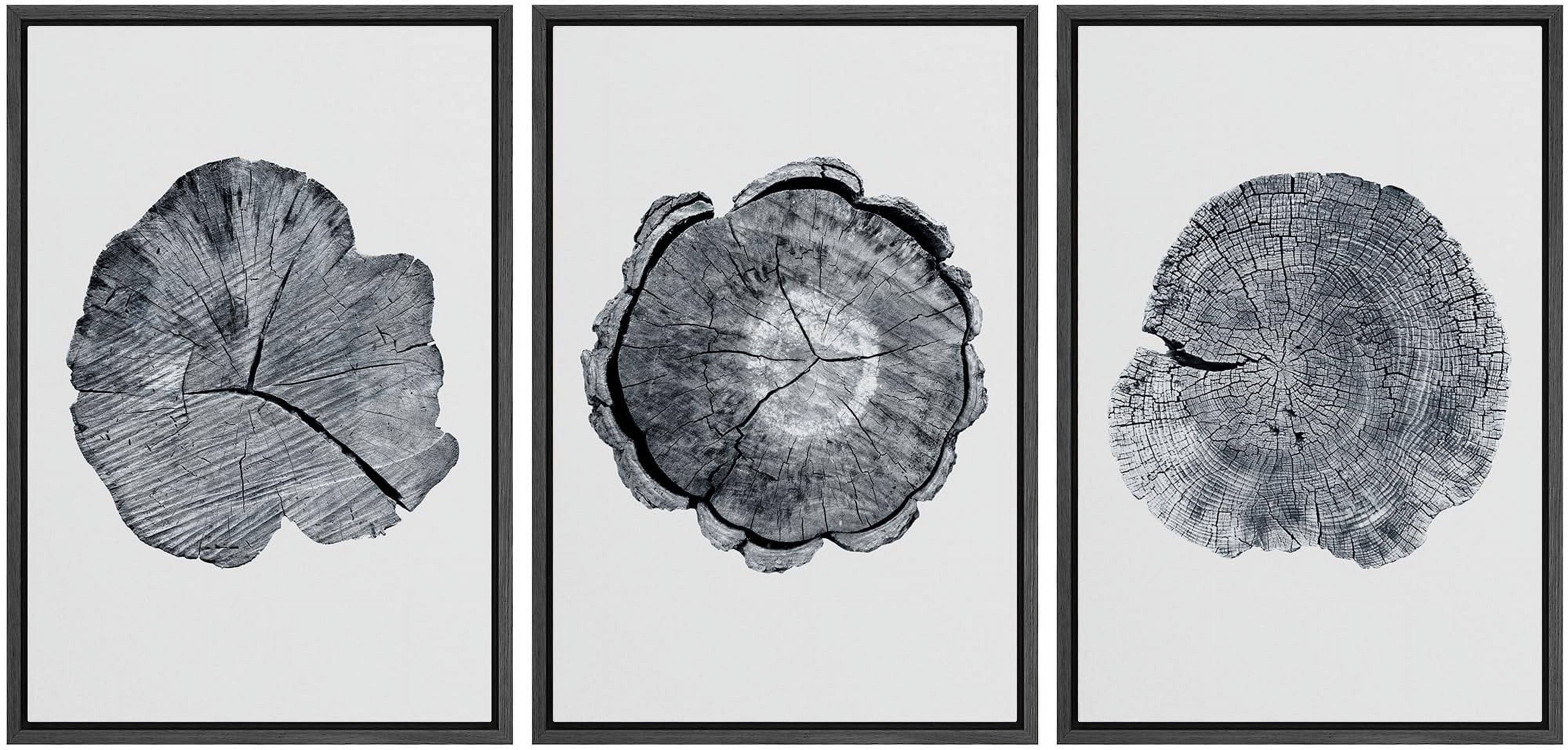 IDEA4WALL Framed Canvas Print Wall Art Set of 3 Wood Tree Rings Prints, Vintage Farmhouse Wall ...