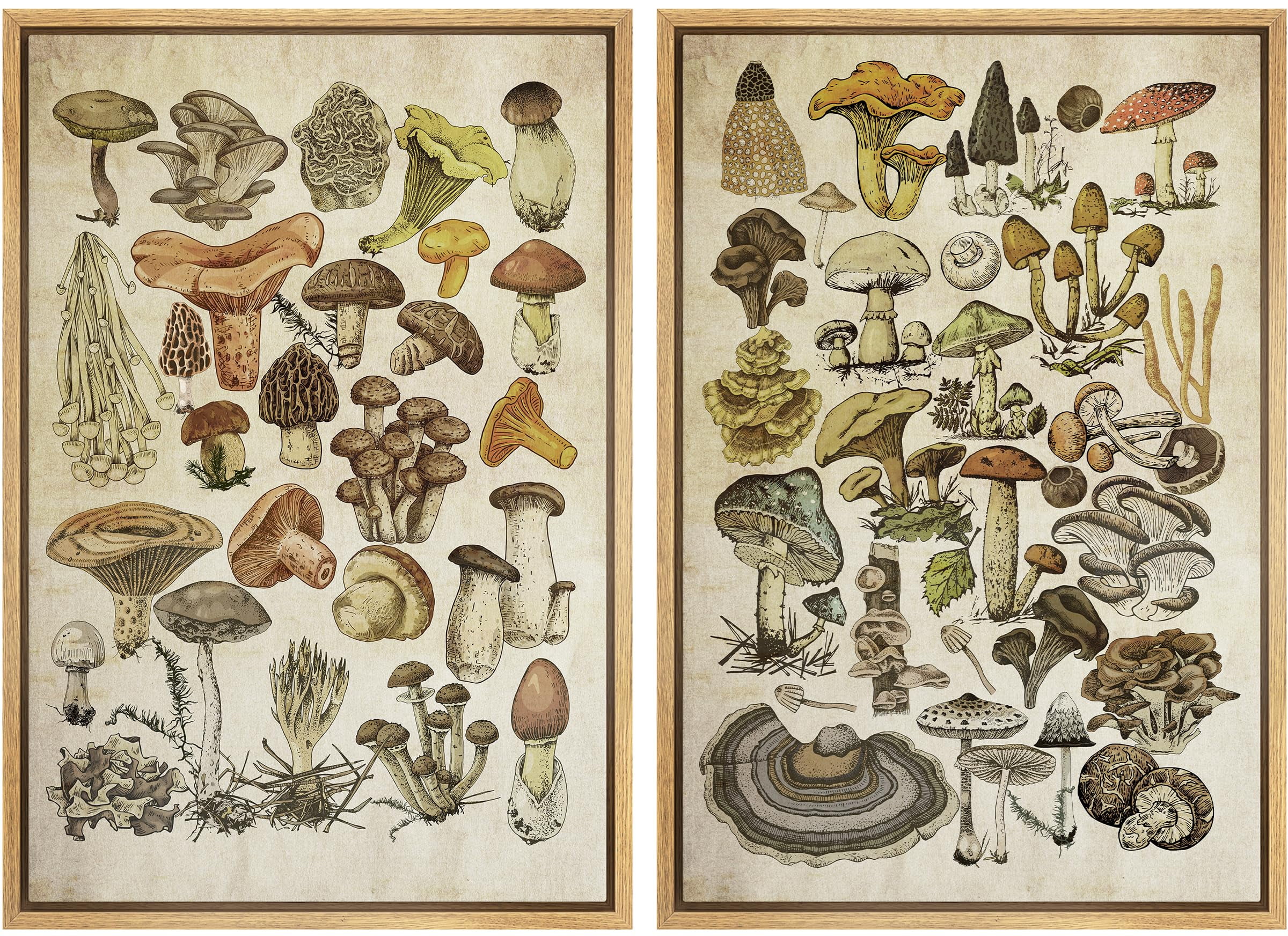Idea4wall Framed Canvas Print Wall Art Set Mushroom Botanical Fine Art