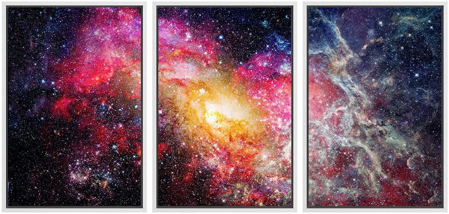 IDEA4WALL Framed Wall Art Canvas Print Set Vibrant Pink Andromeda ...