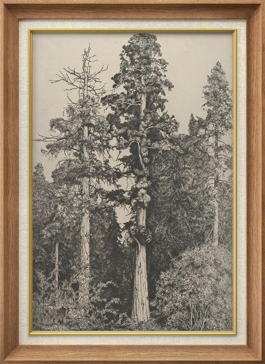 IDEA4WALL Premium Frame Wall Art Elegant Vintage Tree Drawing Print ...